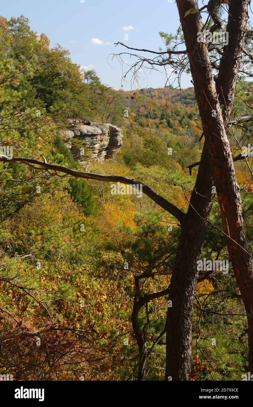 Autumn view along the upper rim trail at Conkle's Hollow, Hocking Hills ...