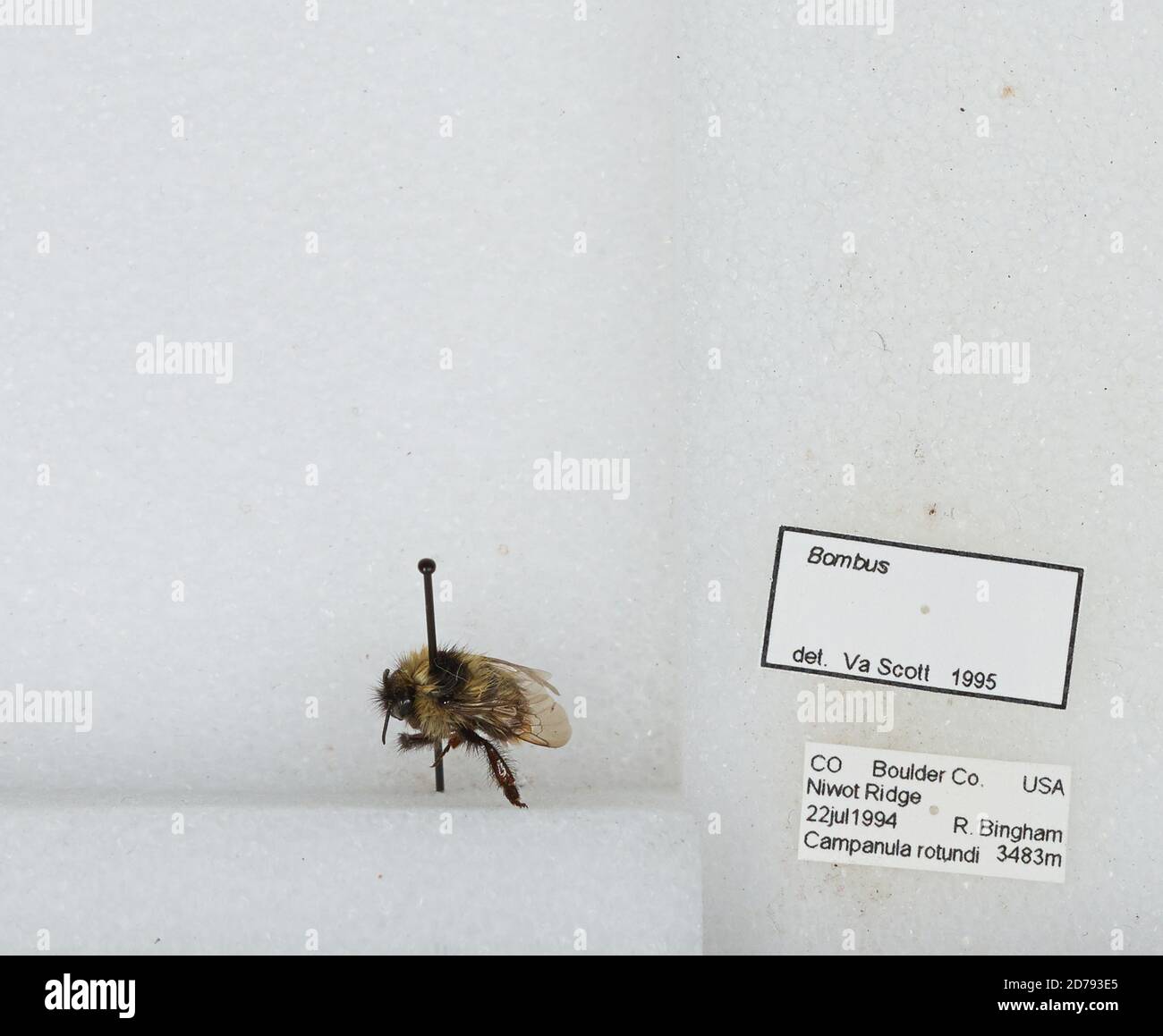 Niwot ridge hi-res stock photography and images - Alamy