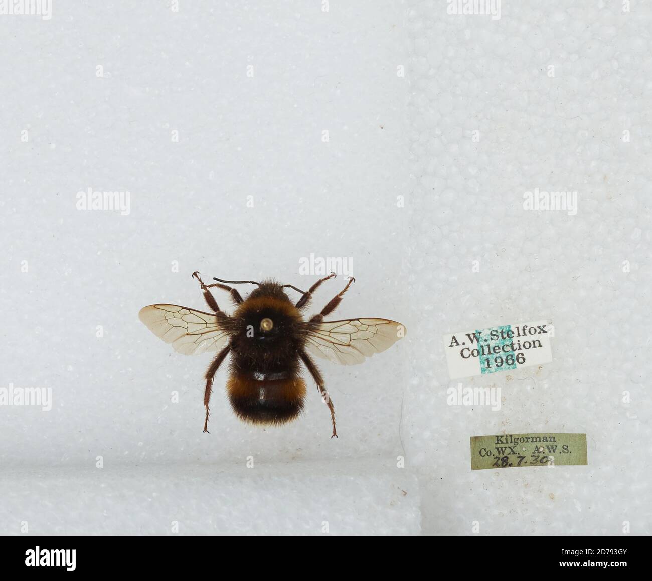 Kilgorman hi-res stock photography and images - Alamy