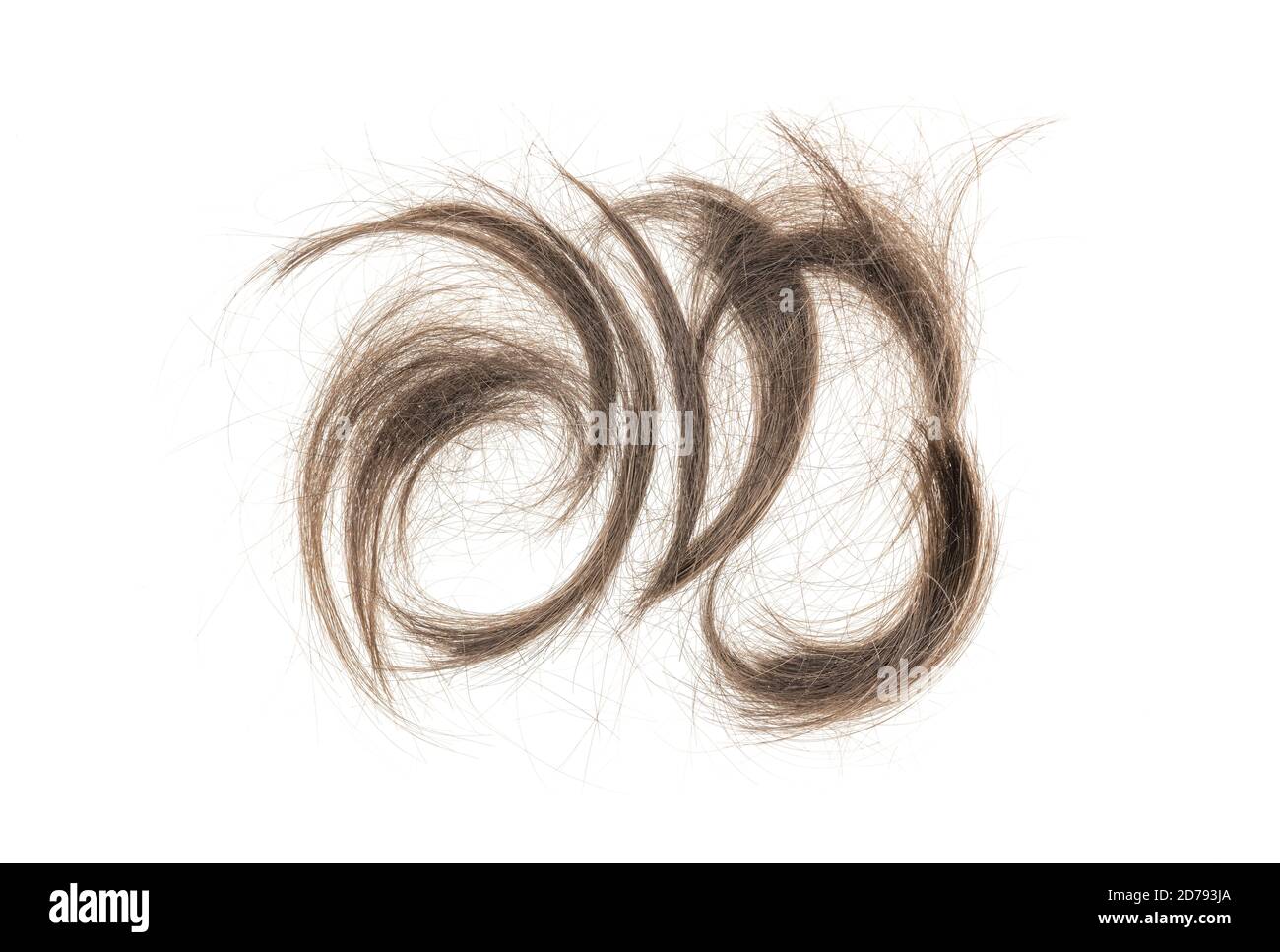 Hair bundle isolated on white background. tuft hair close-up Stock ...