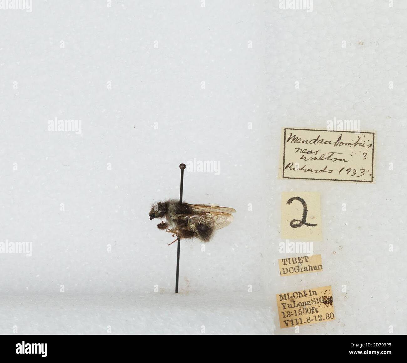 Mi chi in yulong si gge hi-res stock photography and images - Alamy