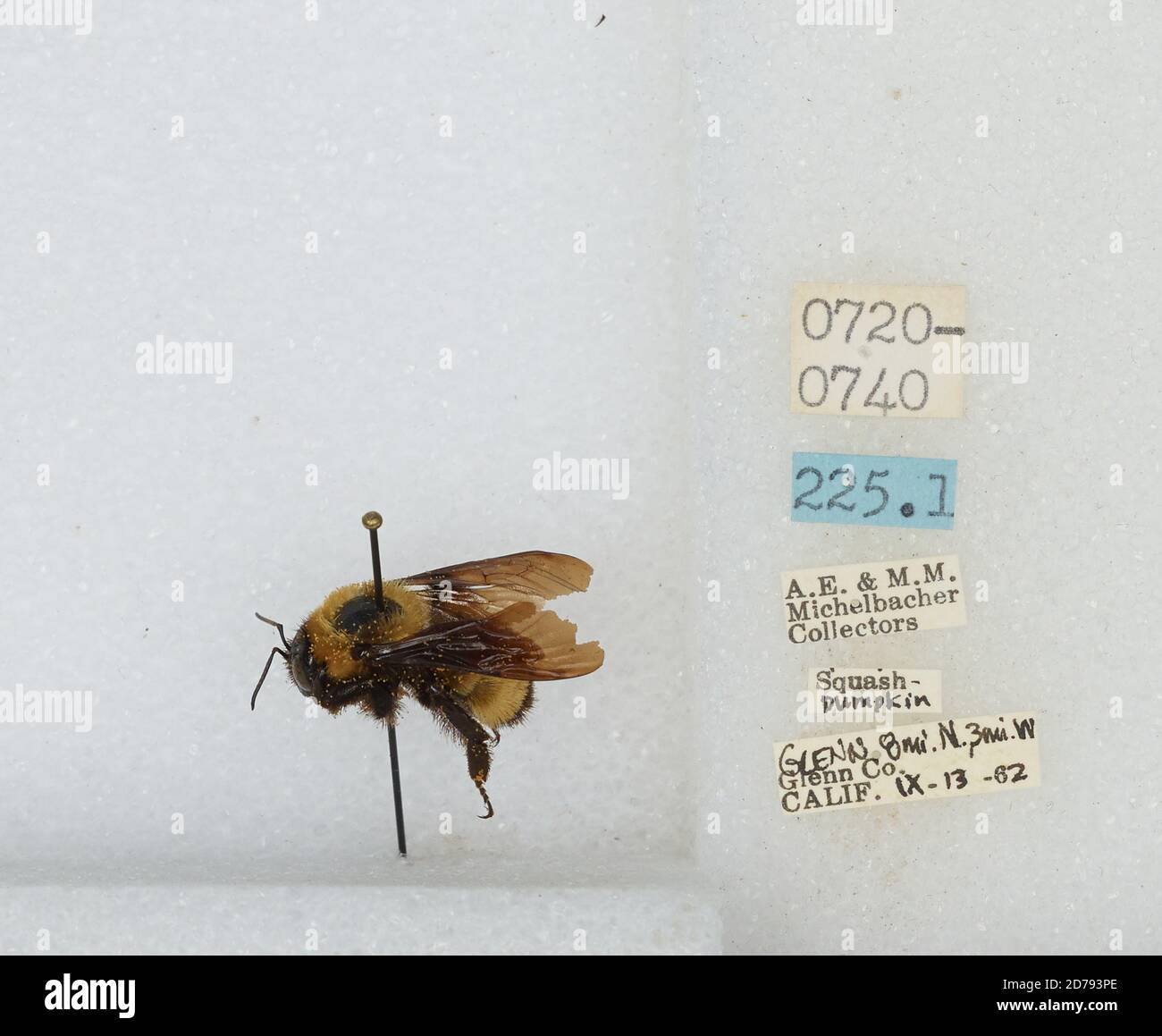 8 miles North, 3 miles West of Glenn County, Glenn, California, United ...