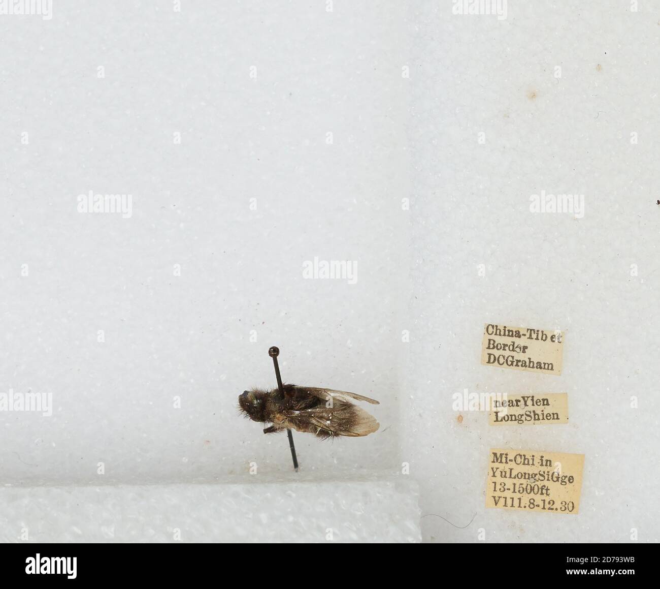 China-Tibet border near Yien Long Shien Mi-Chi in Yu Long Si Gge, China ...