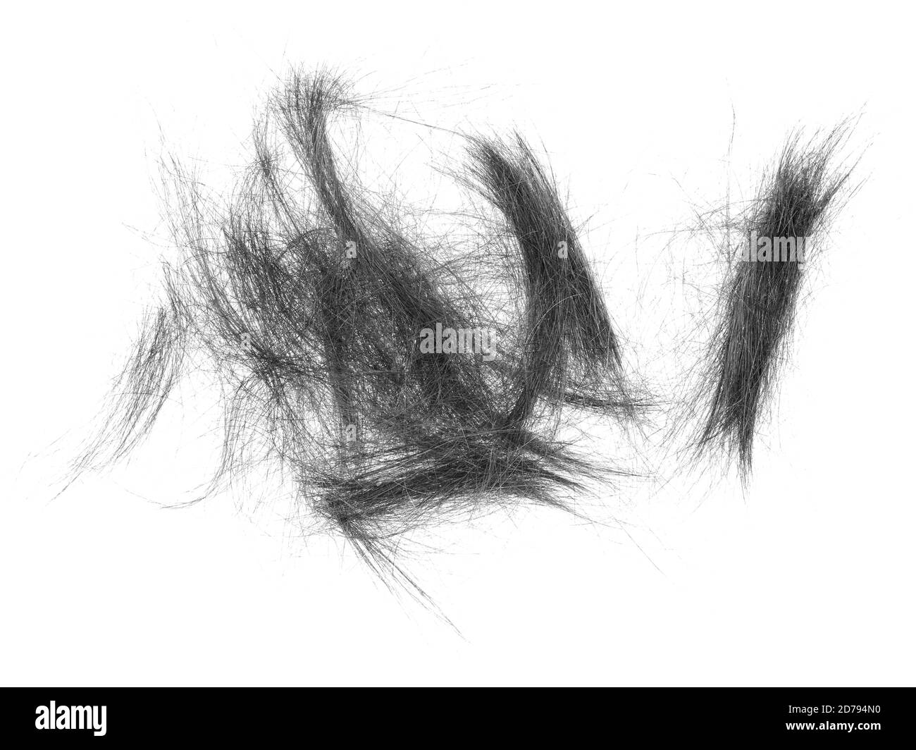 Hair bundle isolated on white background. tuft hair close-up Stock ...