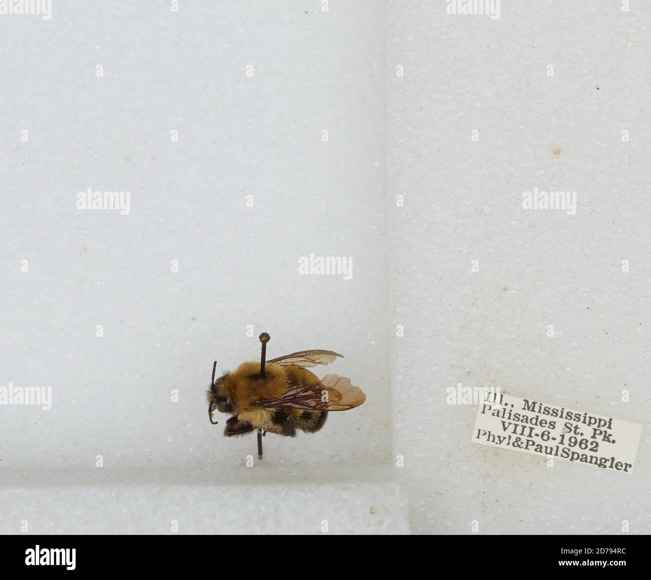 Mississippi Palisades State Park, Carroll, Illinois, United States ...