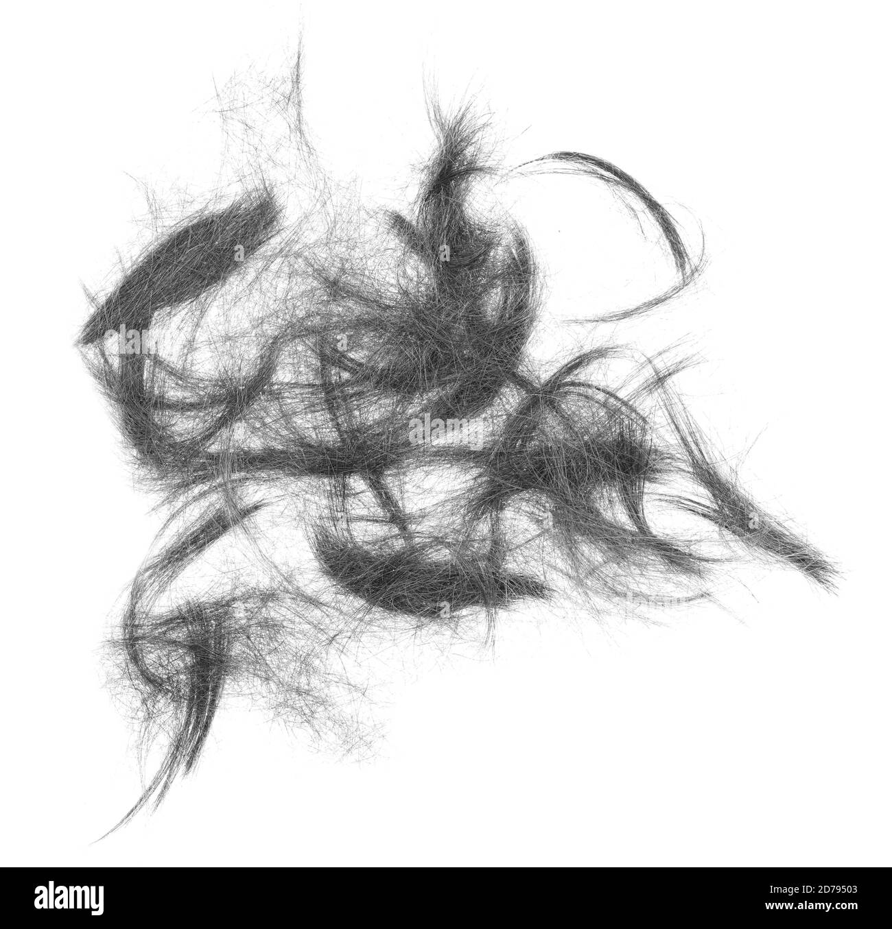 Hair bundle isolated on white background. tuft hair close-up Stock ...