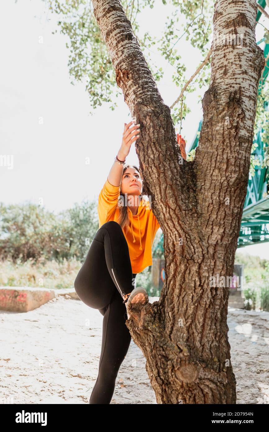Woman enjoying climbing a tree. Freedom concept Stock Photo - Alamy