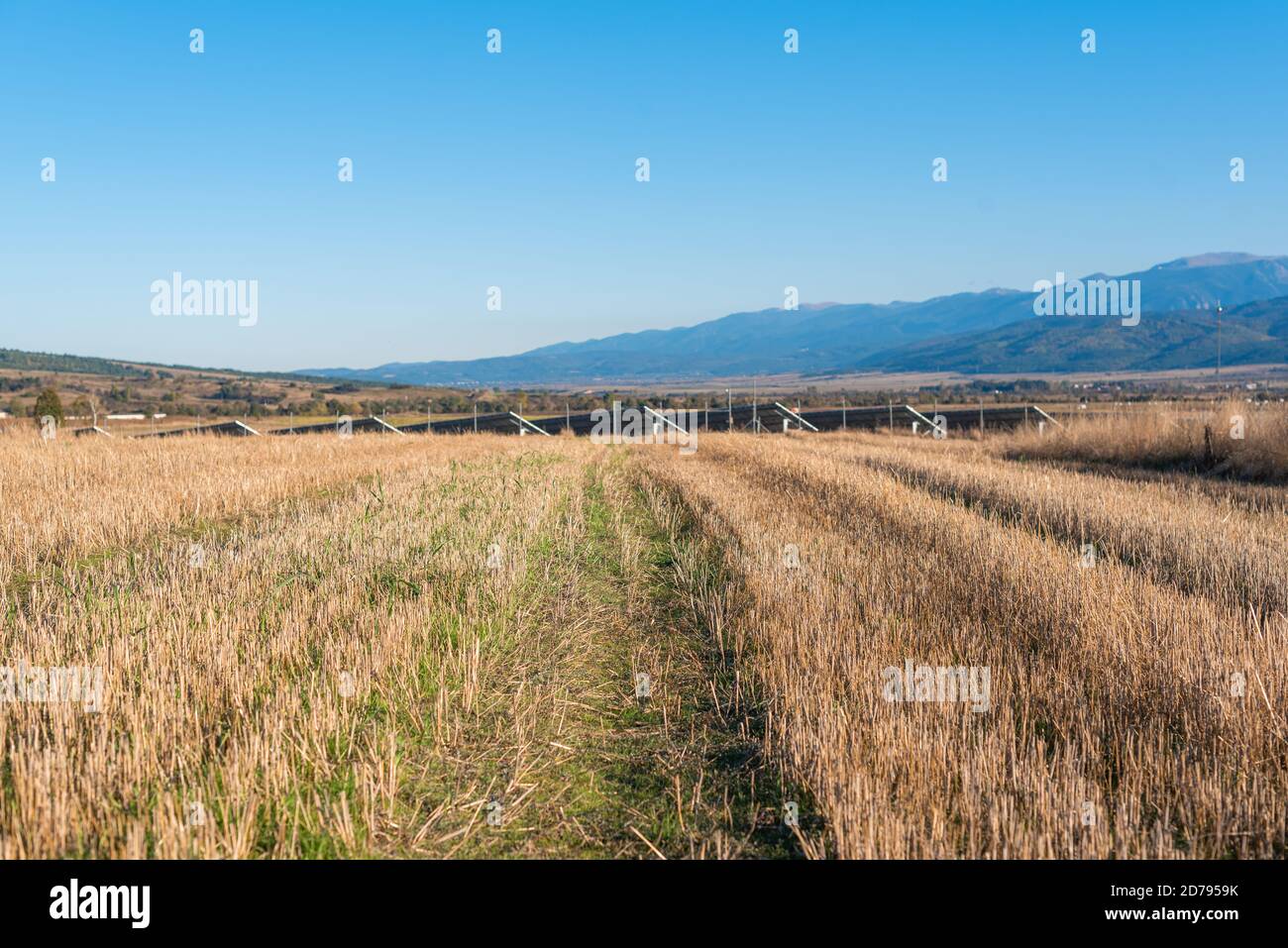 Solar farm bulgaria hi-res stock photography and images - Alamy