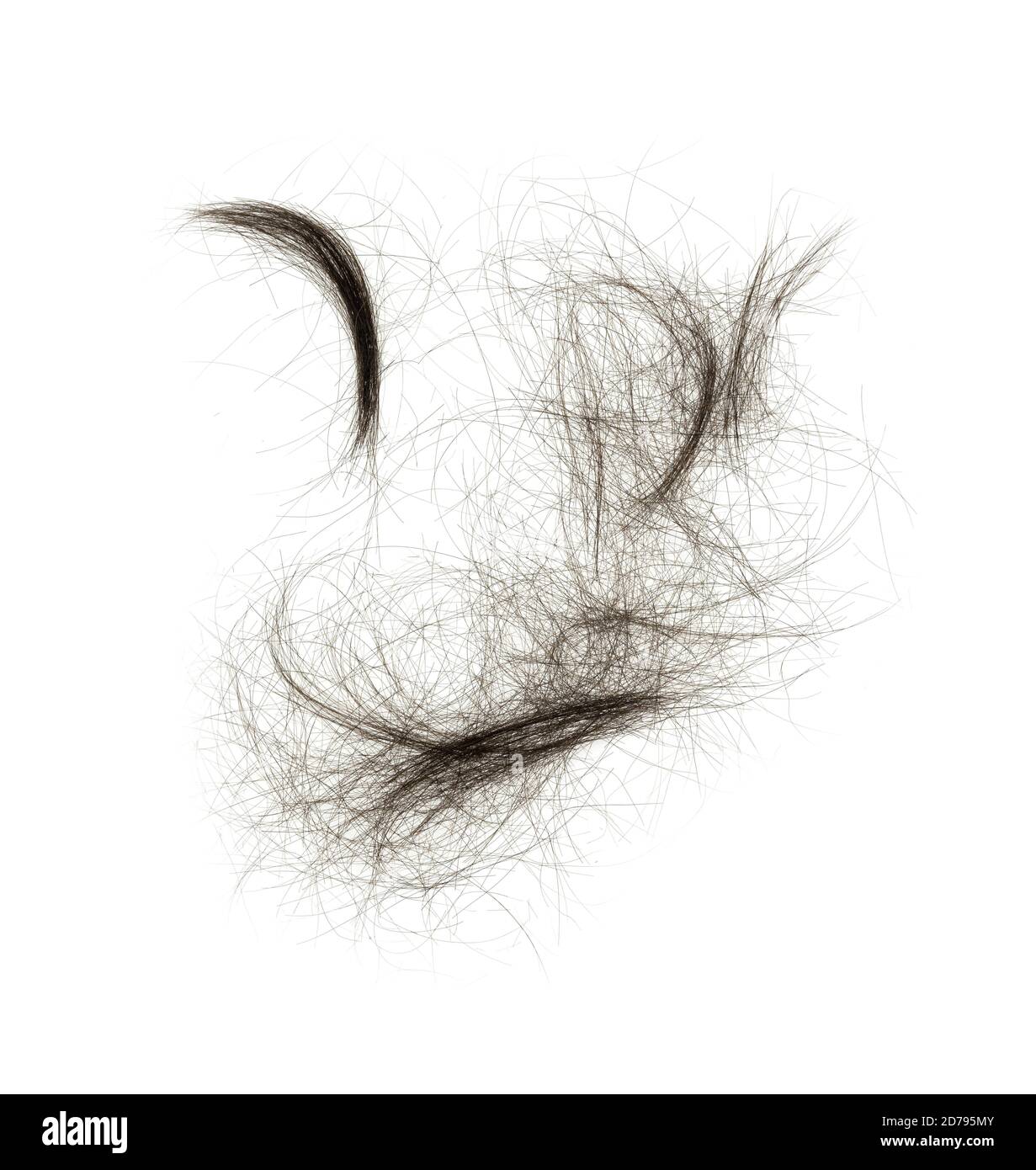 Hair bundle isolated on white background. tuft hair close-up Stock ...