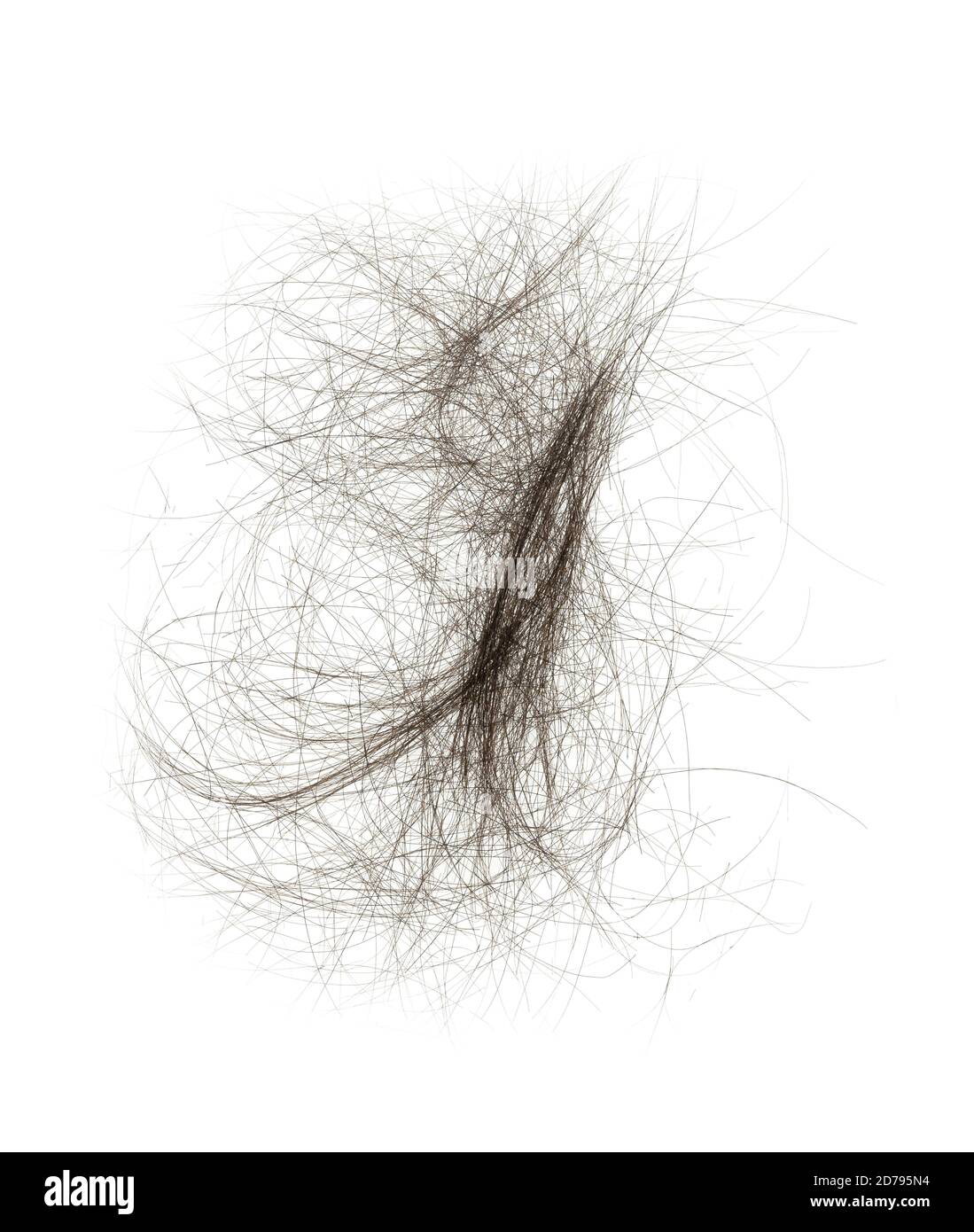 Hair bundle isolated on white background. tuft hair close-up Stock ...