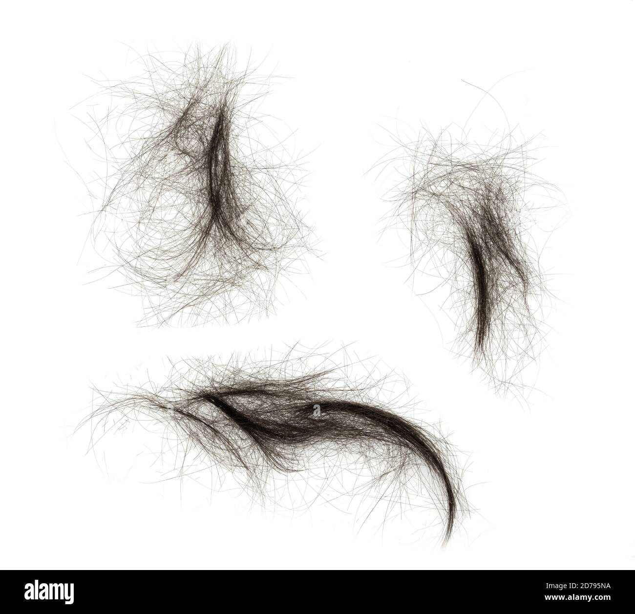 Hair bundle isolated on white background. tuft hair close-up Stock ...