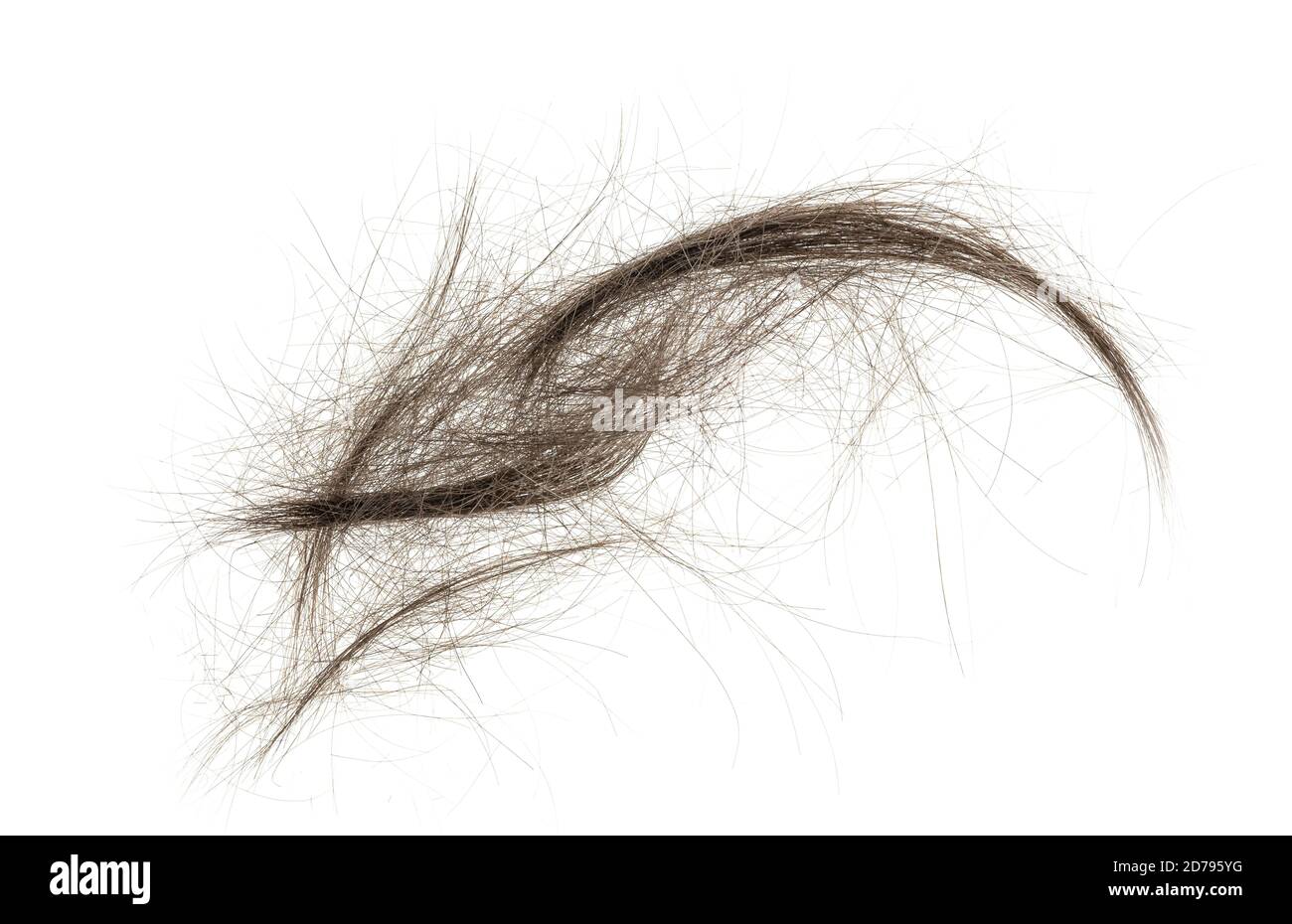 Hair bundle isolated on white background. tuft hair close-up Stock ...
