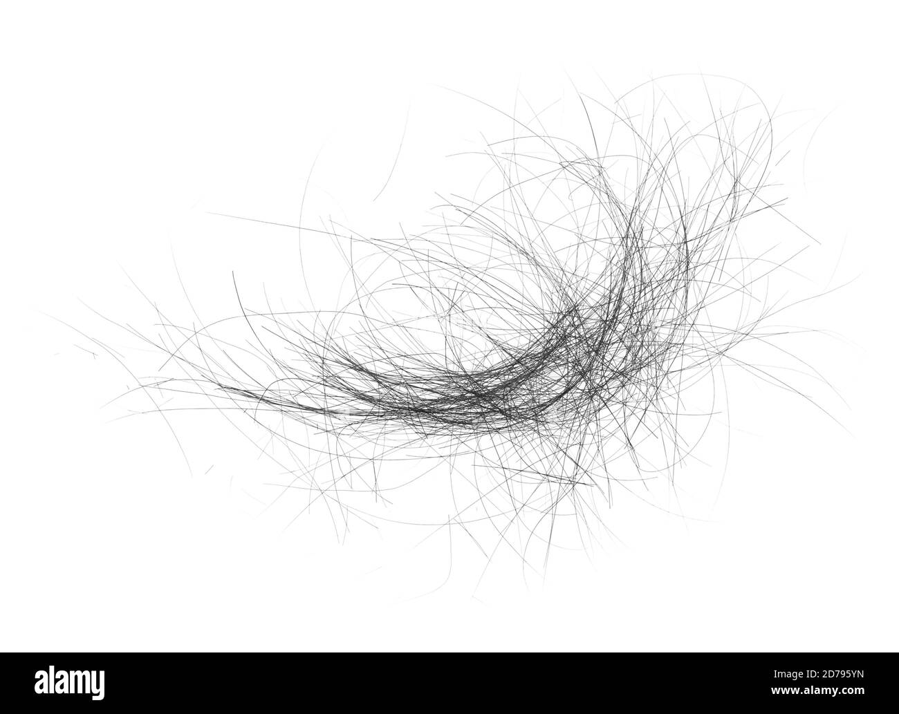 Hair bundle isolated on white background. tuft hair close-up Stock ...