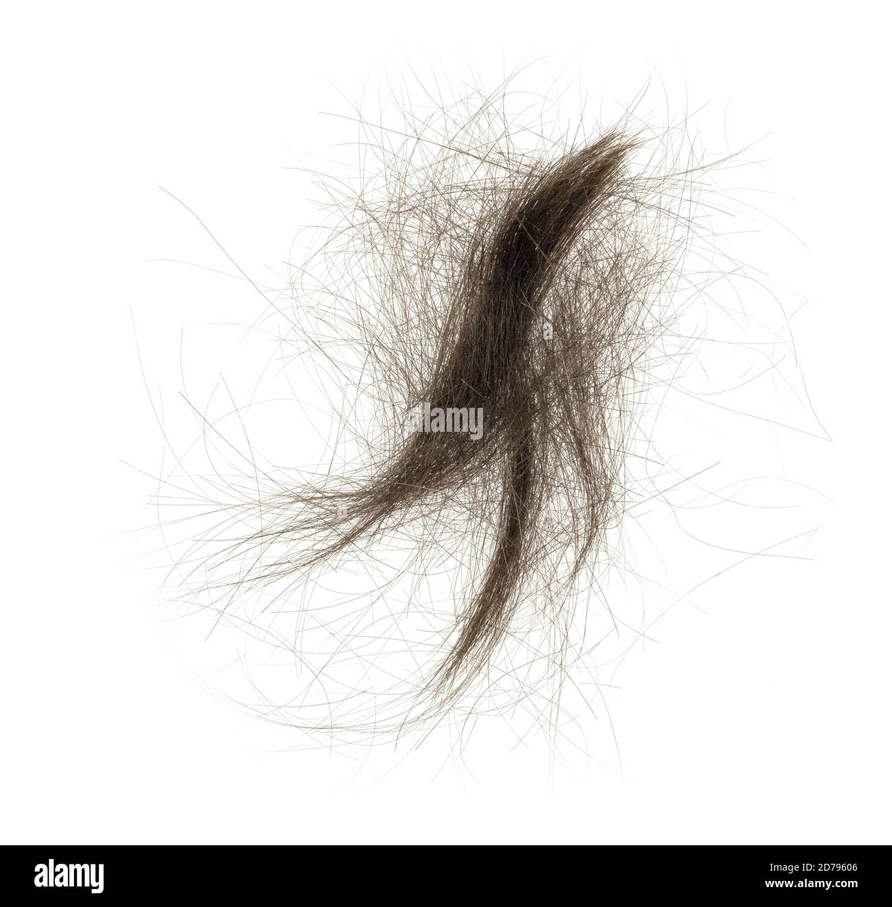 Hair bundle isolated on white background. tuft hair close-up Stock ...