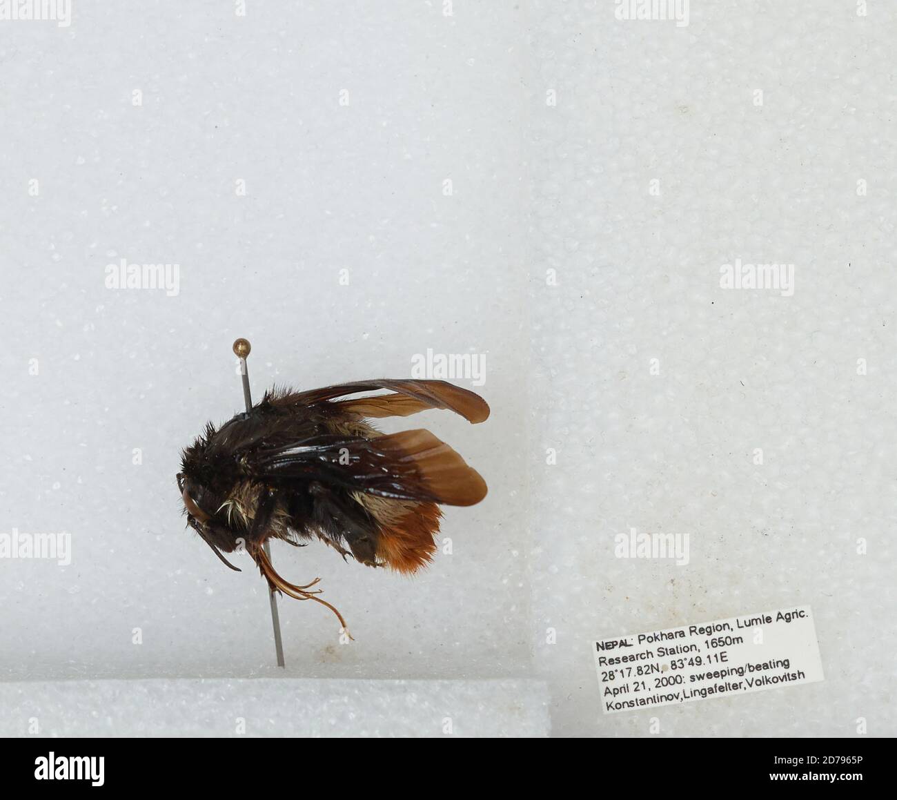 Lumle Agricultural Research Station, Pokhara Region, Western Region ...