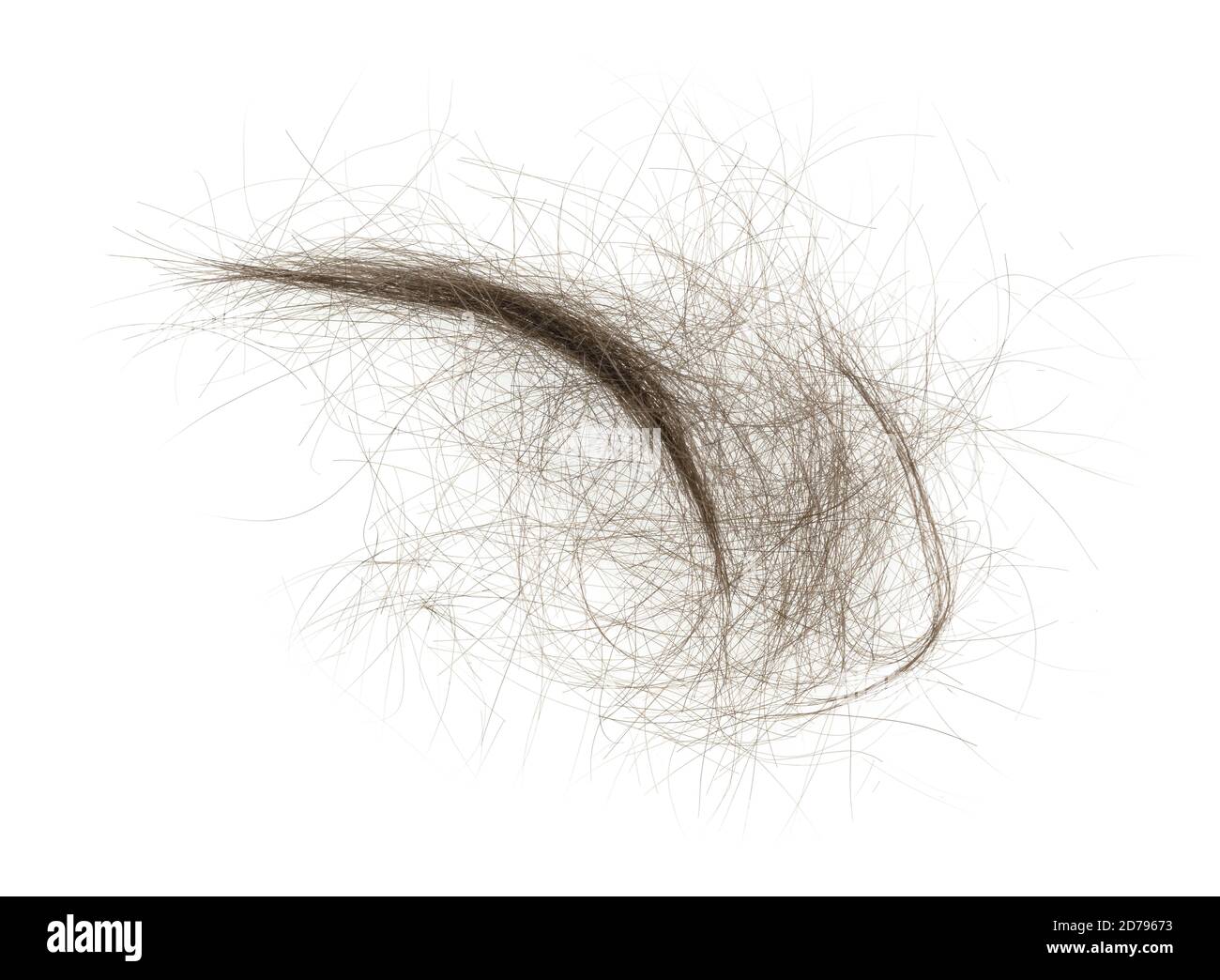 Hair bundle isolated on white background. tuft hair close-up Stock ...