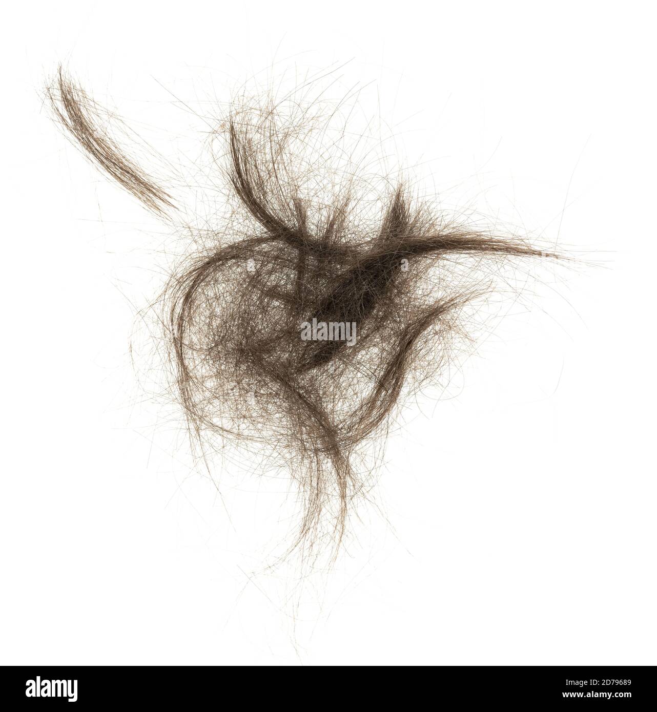 Hair bundle isolated on white background. tuft hair close-up Stock ...