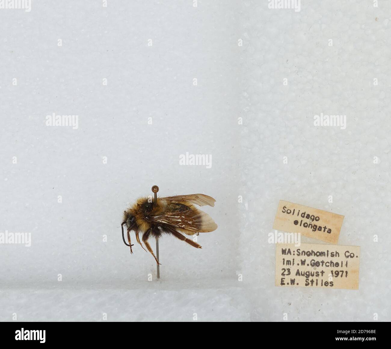 1 mile west of getchell hi-res stock photography and images - Alamy