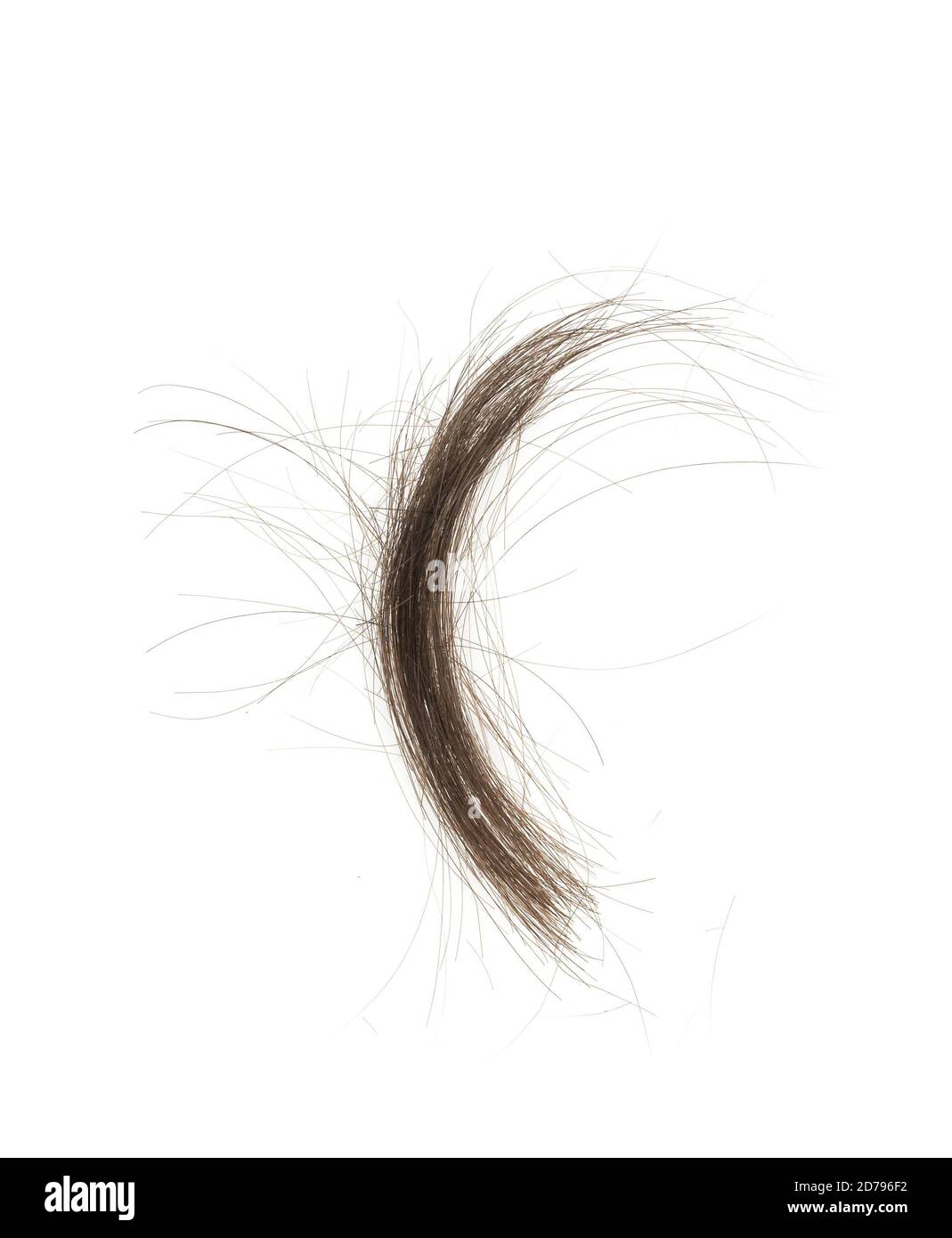 Hair bundle isolated on white background. tuft hair close-up Stock ...