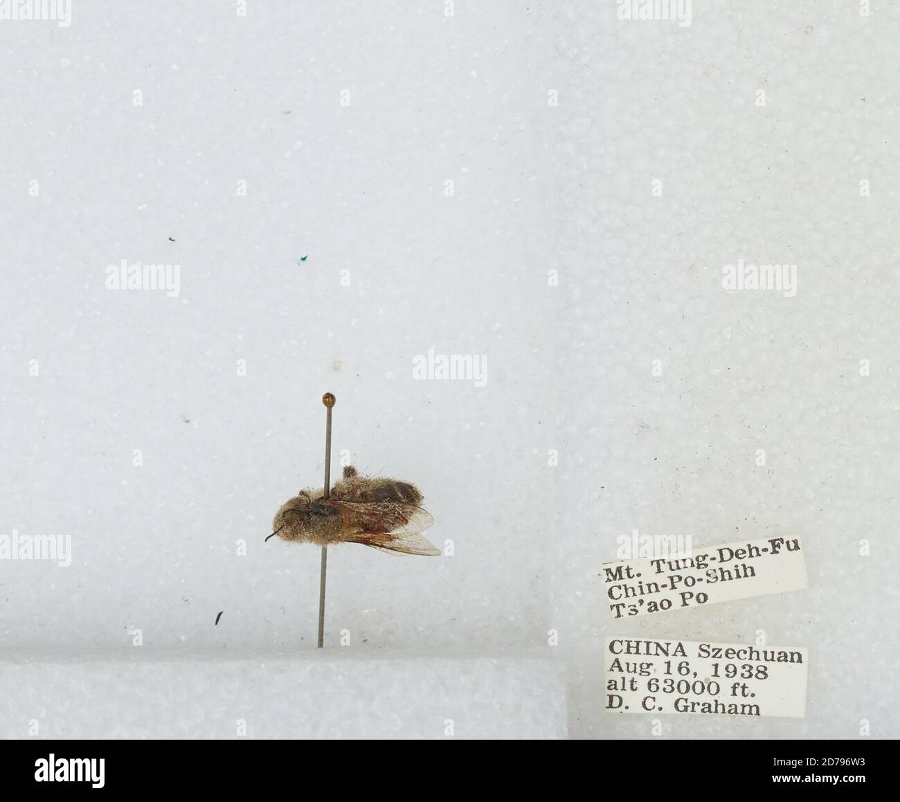 Mt tung deh fu chin po shih tsao po hi-res stock photography and images ...