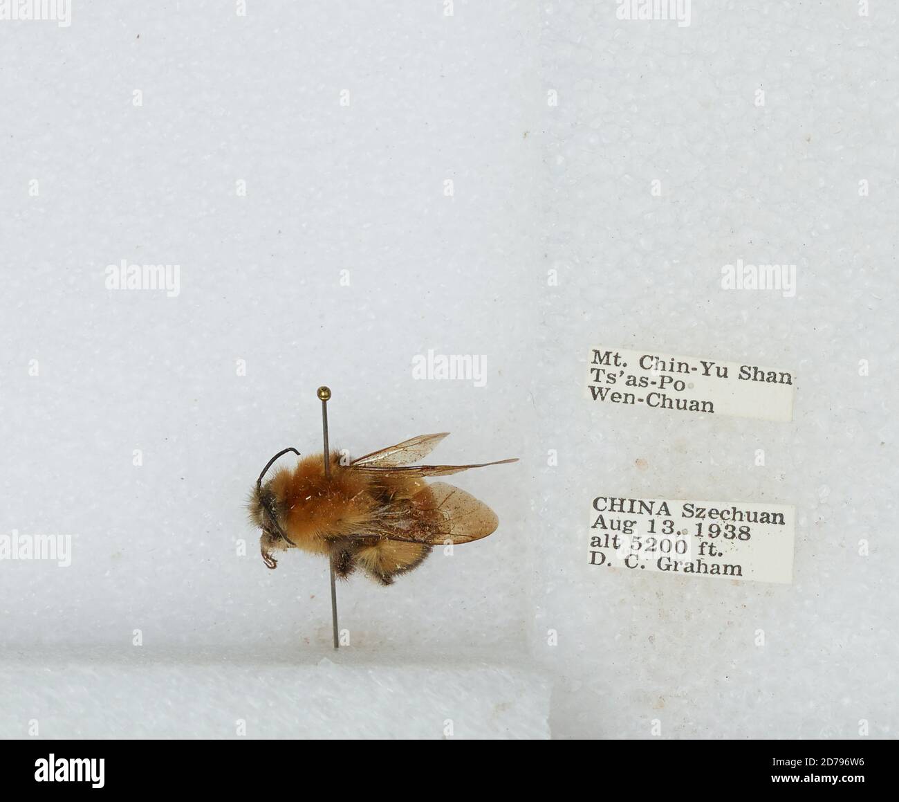 Mt chin yu shan tsas po wen chuan hi-res stock photography and images ...