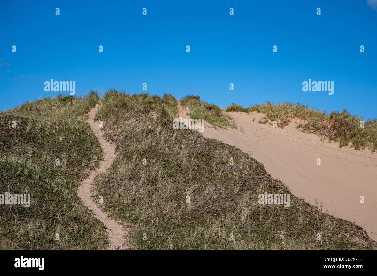 Sand dunes at the edge of the coastal beach Stock Photo - Alamy
