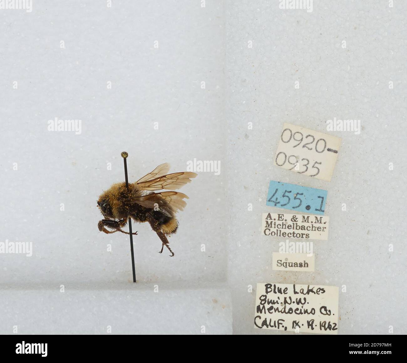 8 miles Northwest of Blue Lakes, Mendocino, California, United States ...