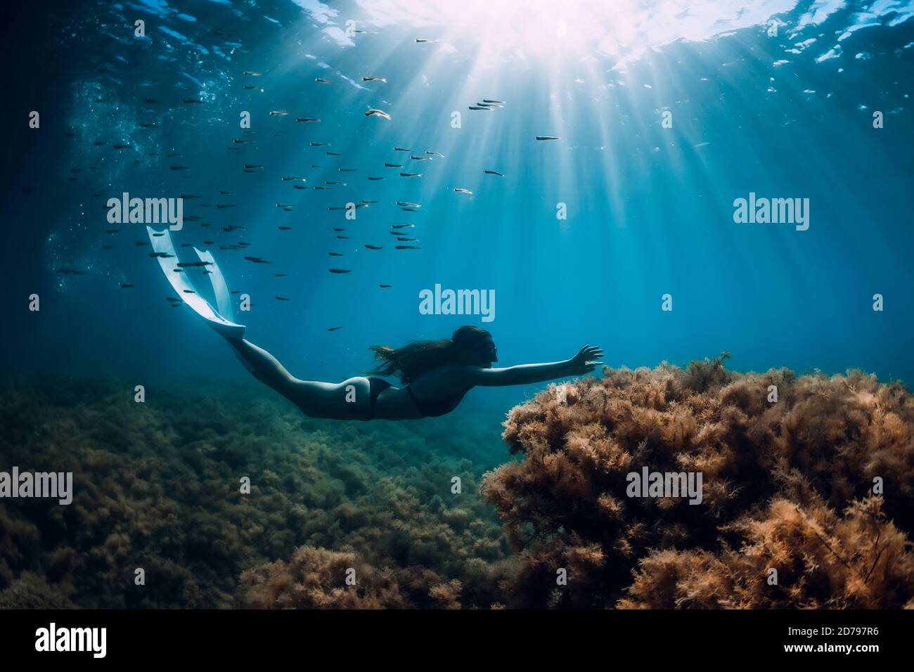 Freediver Female Fish High Resolution Stock Photography and Images - Alamy