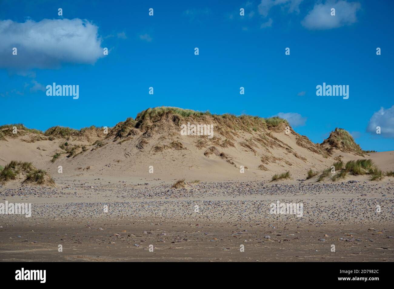 Sand dunes at the edge of the coastal beach Stock Photo - Alamy