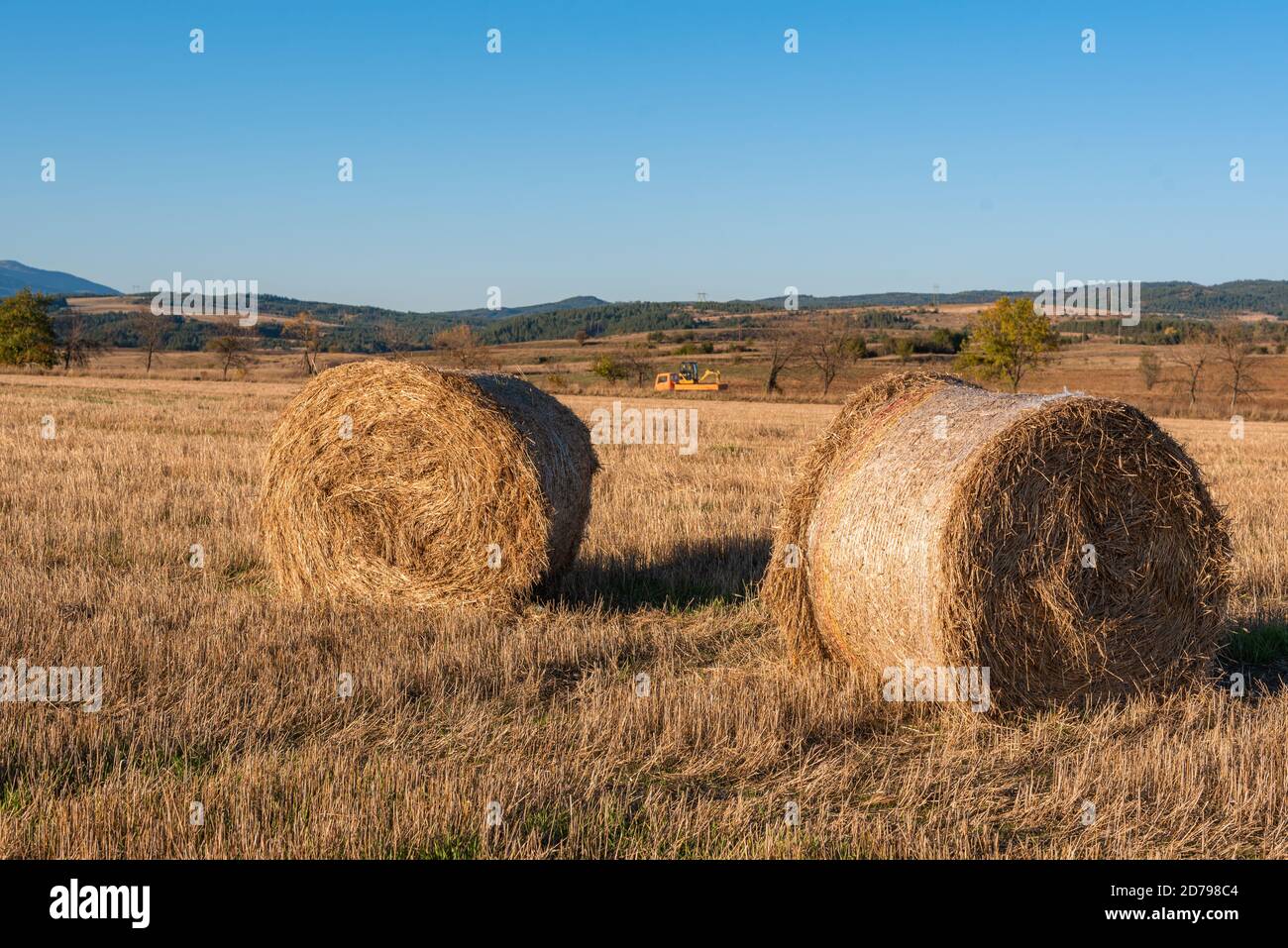 Dry hay field with a clear cut path warm color bulgaria rural landscape ...