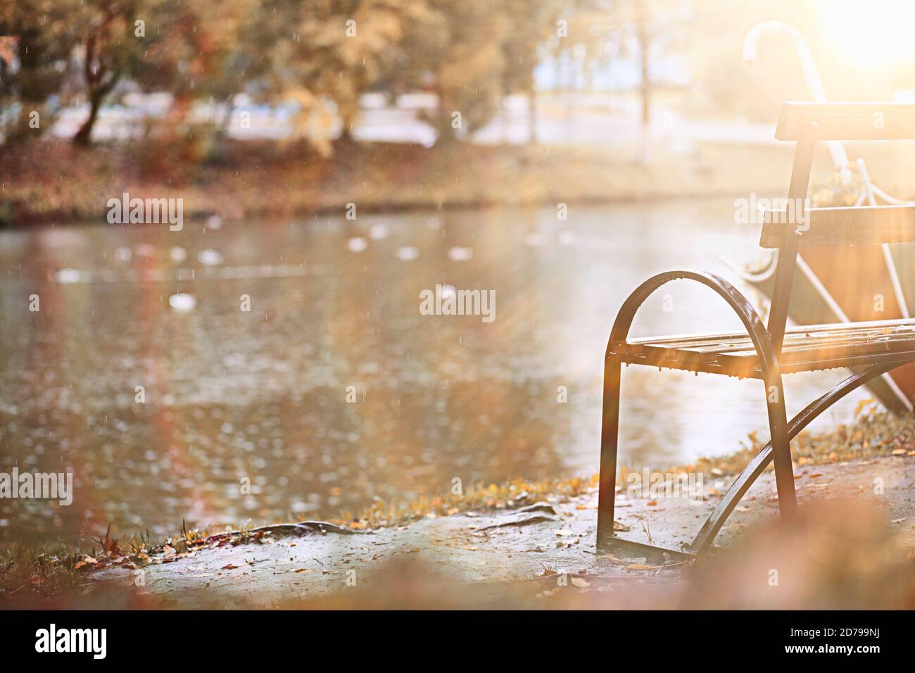Autumn rain in the park Stock Photo - Alamy