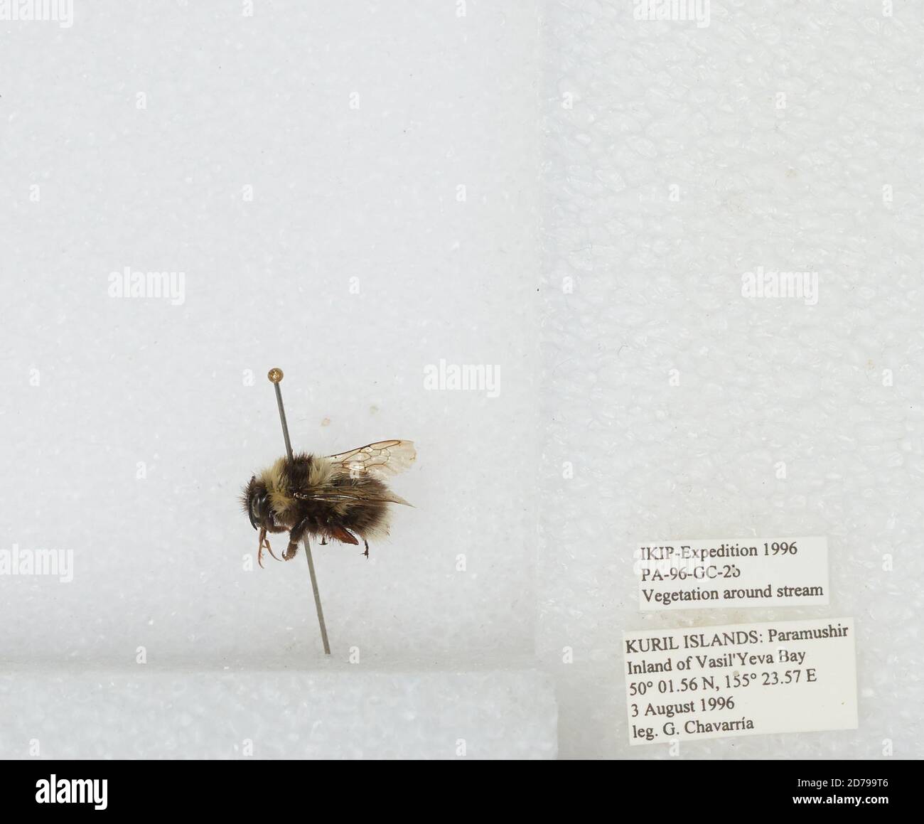 Ostrov Paramushir, inland of Zaliv Vasil’yeva Bay, Kuril Islands ...