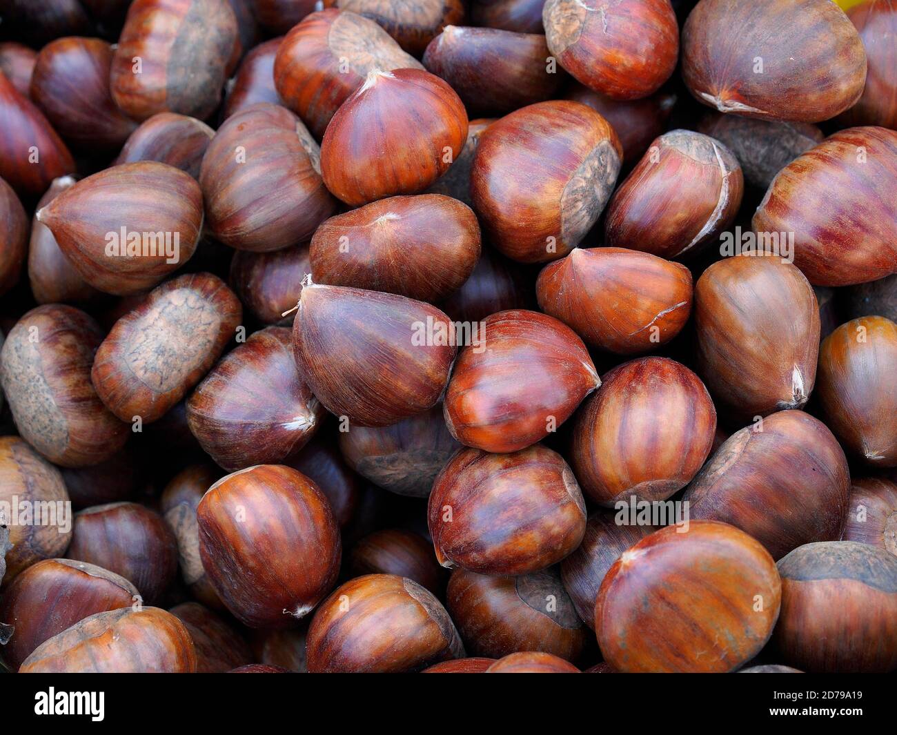 Chestnut heap hi-res stock photography and images - Alamy