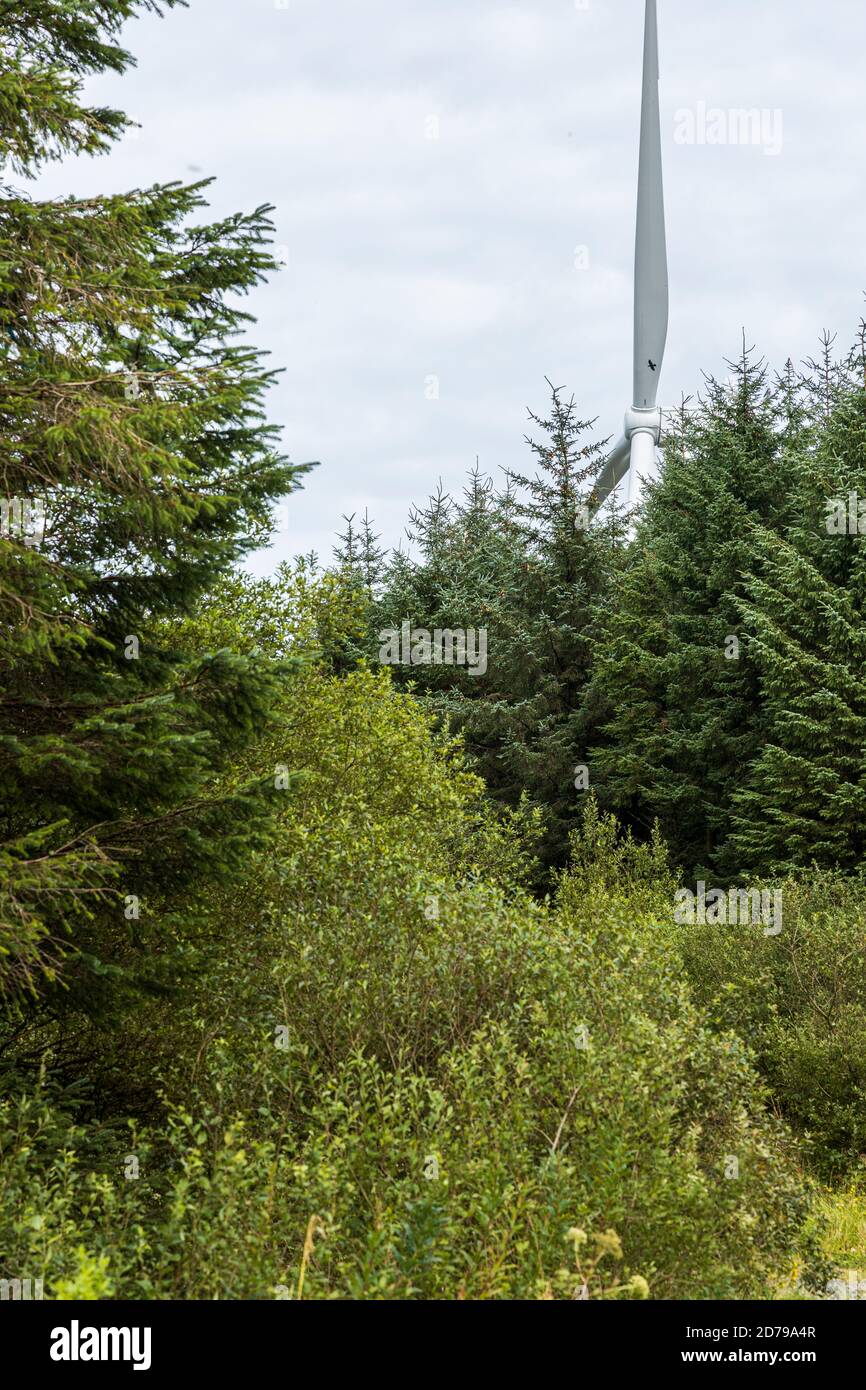 Sustainable wind turbine hi-res stock photography and images - Alamy