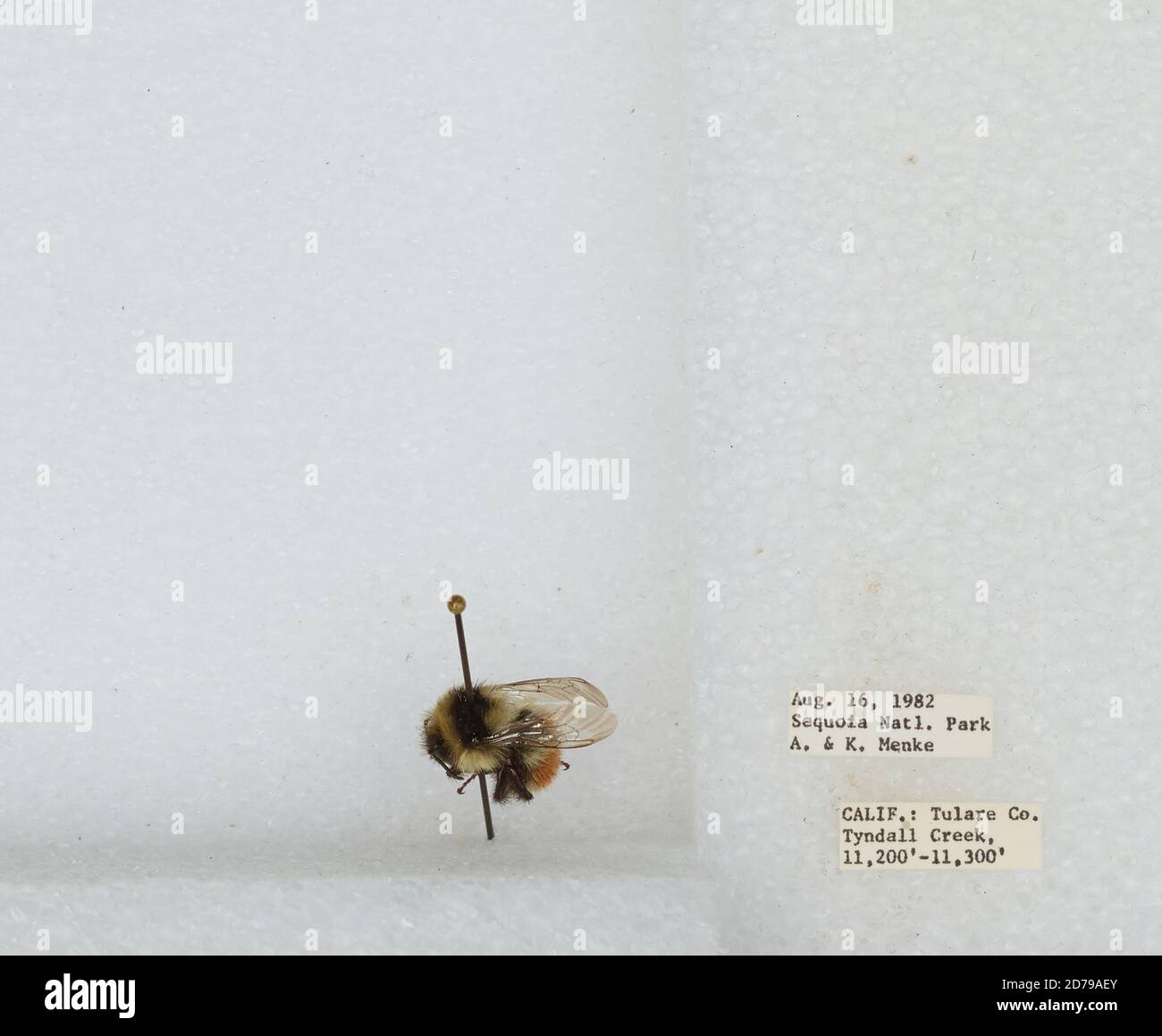 Tyndall Creek, Sequoia National Park, Tulare, California, United States ...