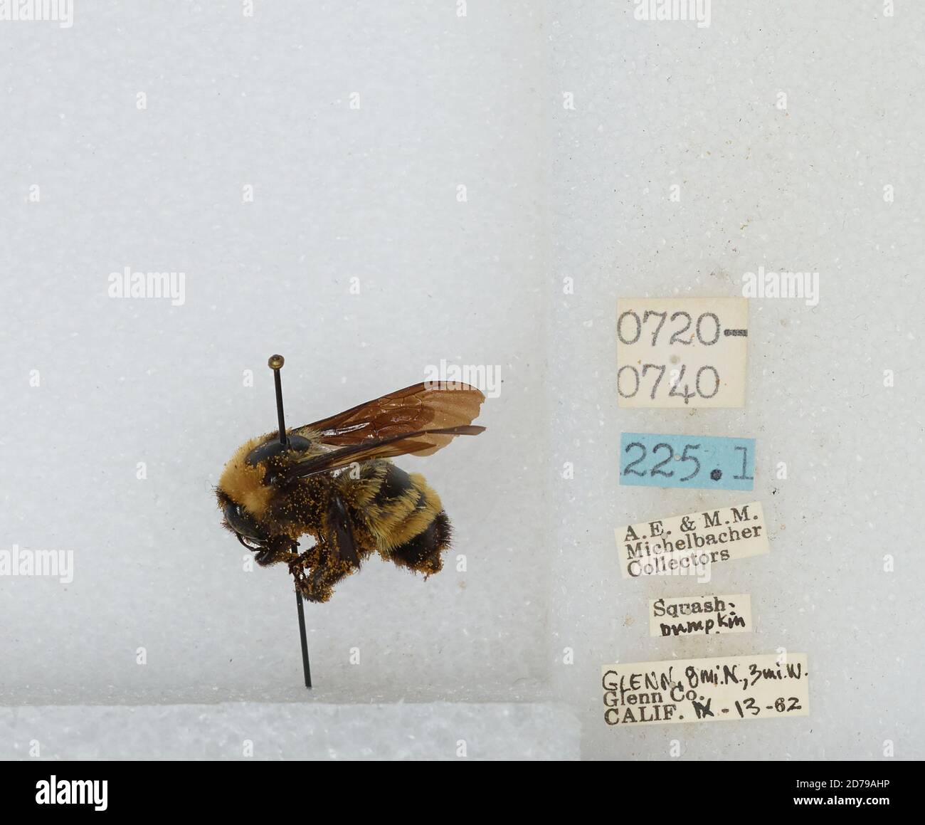 8 miles North, 3 miles West of Glenn County, Glenn, California, United ...