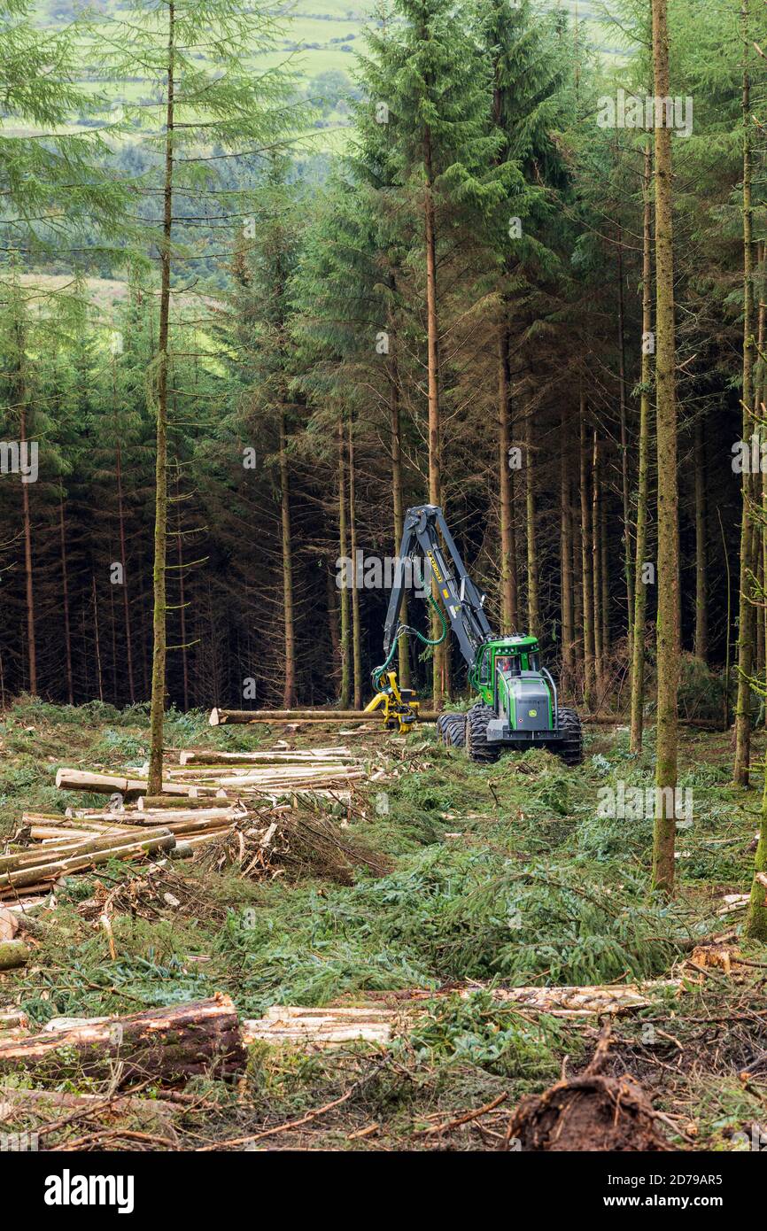 Logging in the spruce forest in the Galtee mountains, County Limerick ...