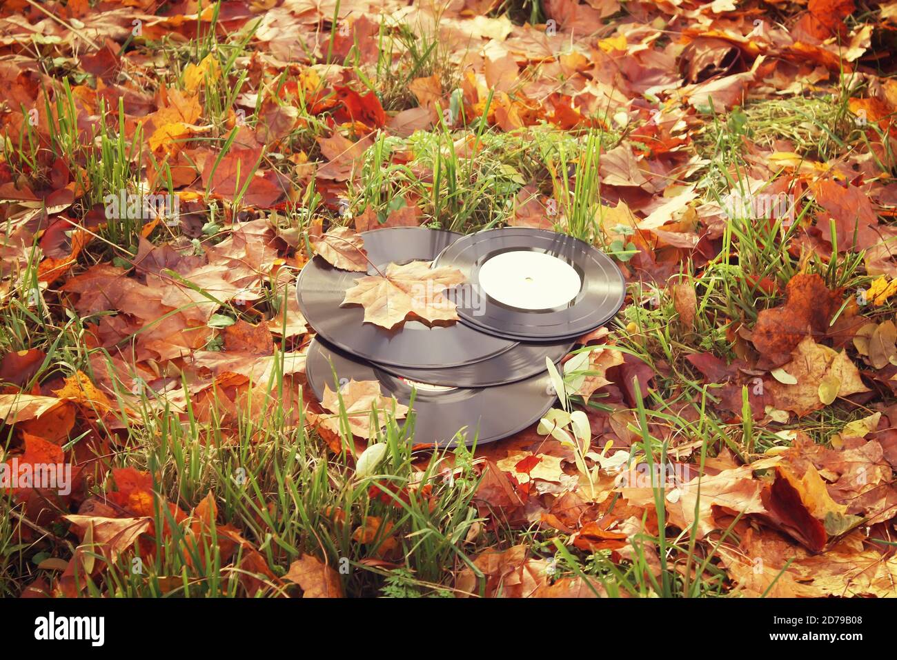 Vintage vinyl records on fall autumn leaves background Stock Photo - Alamy