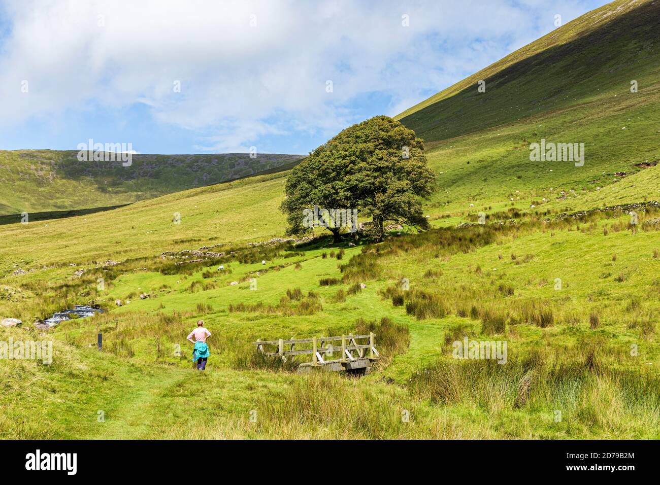 Walking on a trail by a stream in the Galtee mountains, County Limerick ...