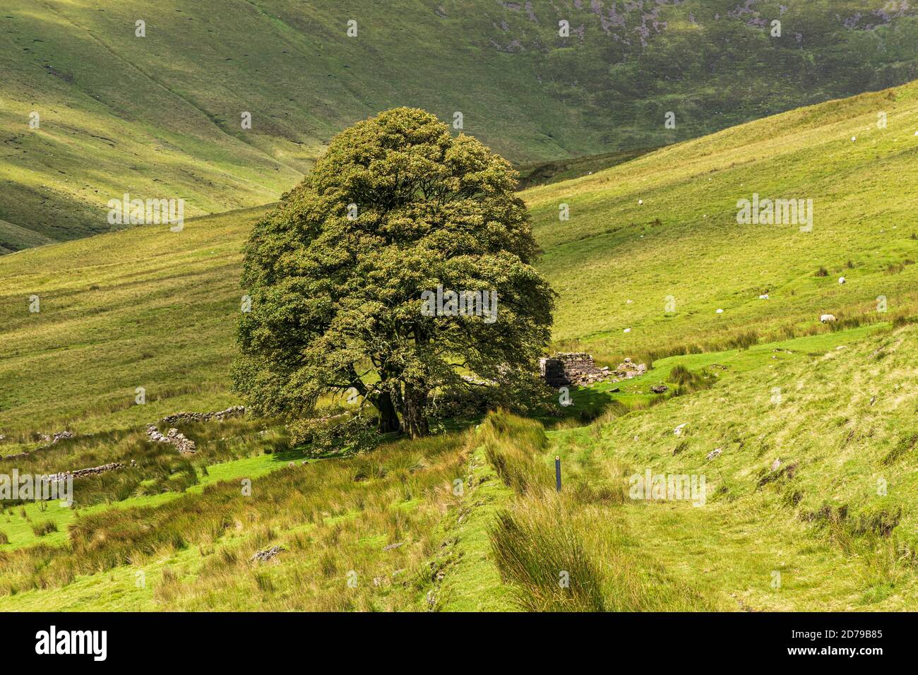 Attychraan loop trail hi-res stock photography and images - Alamy