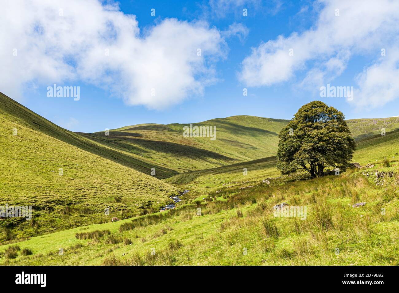 Attychraan loop trail hi-res stock photography and images - Alamy