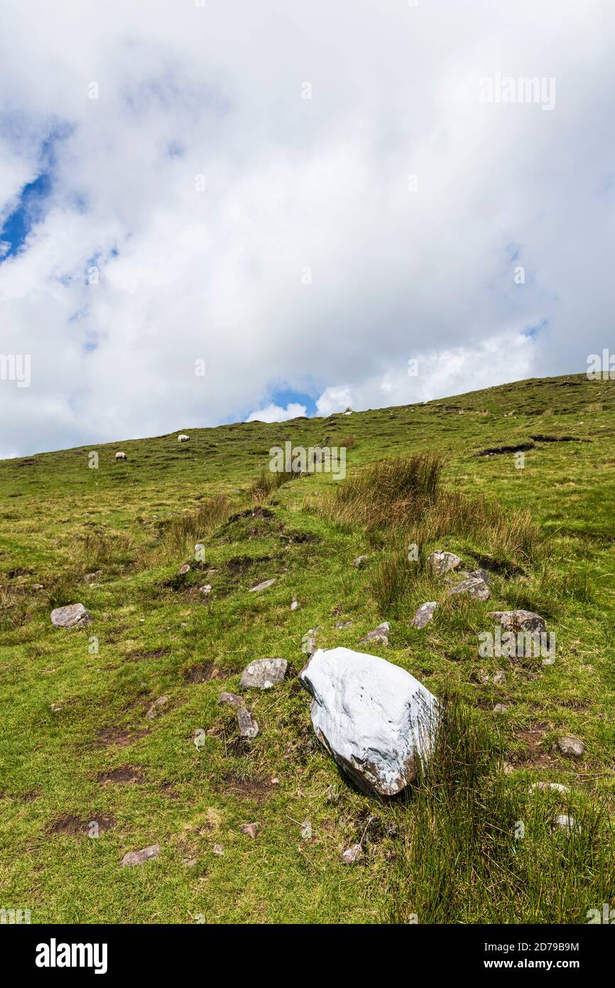 County limerick ireland hi-res stock photography and images - Alamy