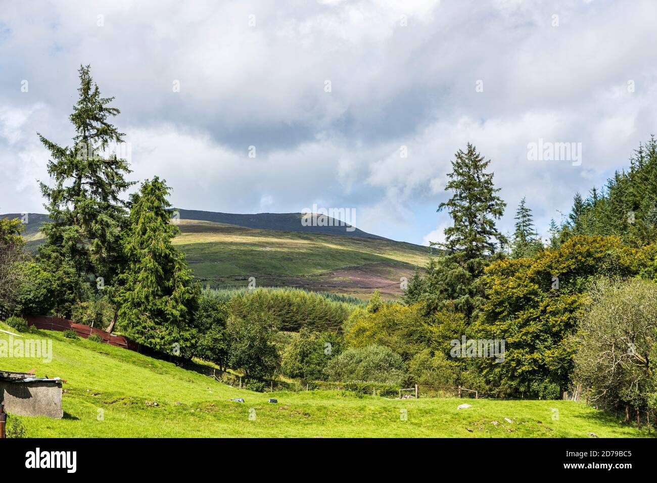 Kings yard hi-res stock photography and images - Alamy