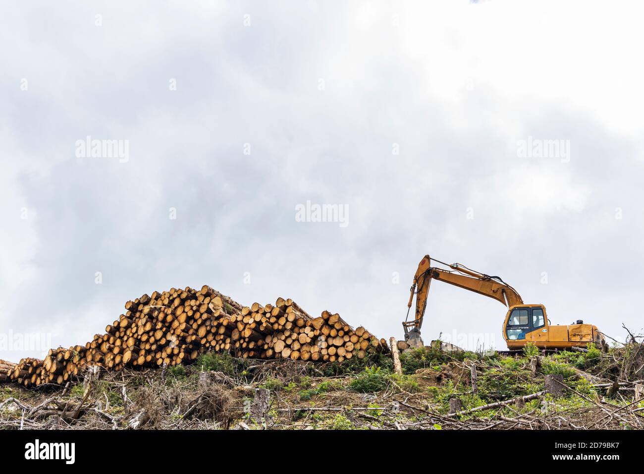Pile of logs and Hyundai digging machine on ridge near Kinsale, County ...