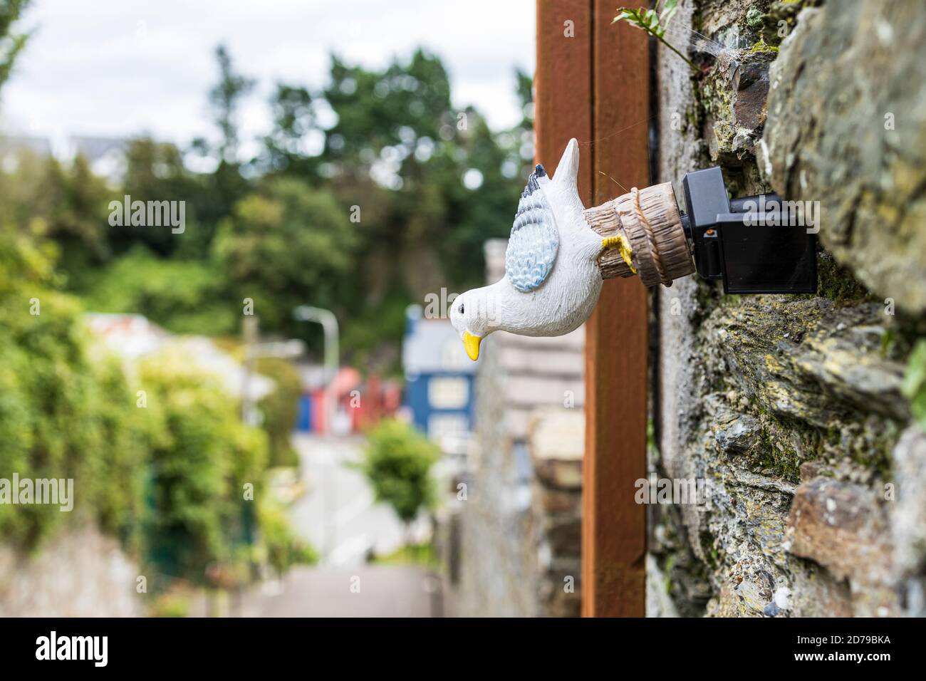 Unusual plastic bird stuck into a wall in Kinsale, County Cork, Ireland ...