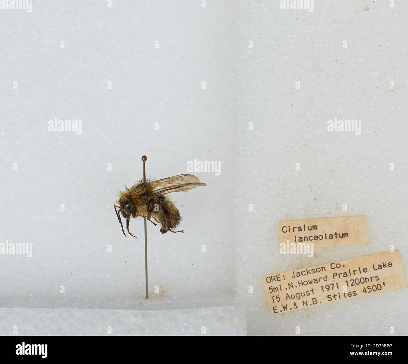 5 miles North of Howard Prairie Lake, Jackson, Oregon, United States ...