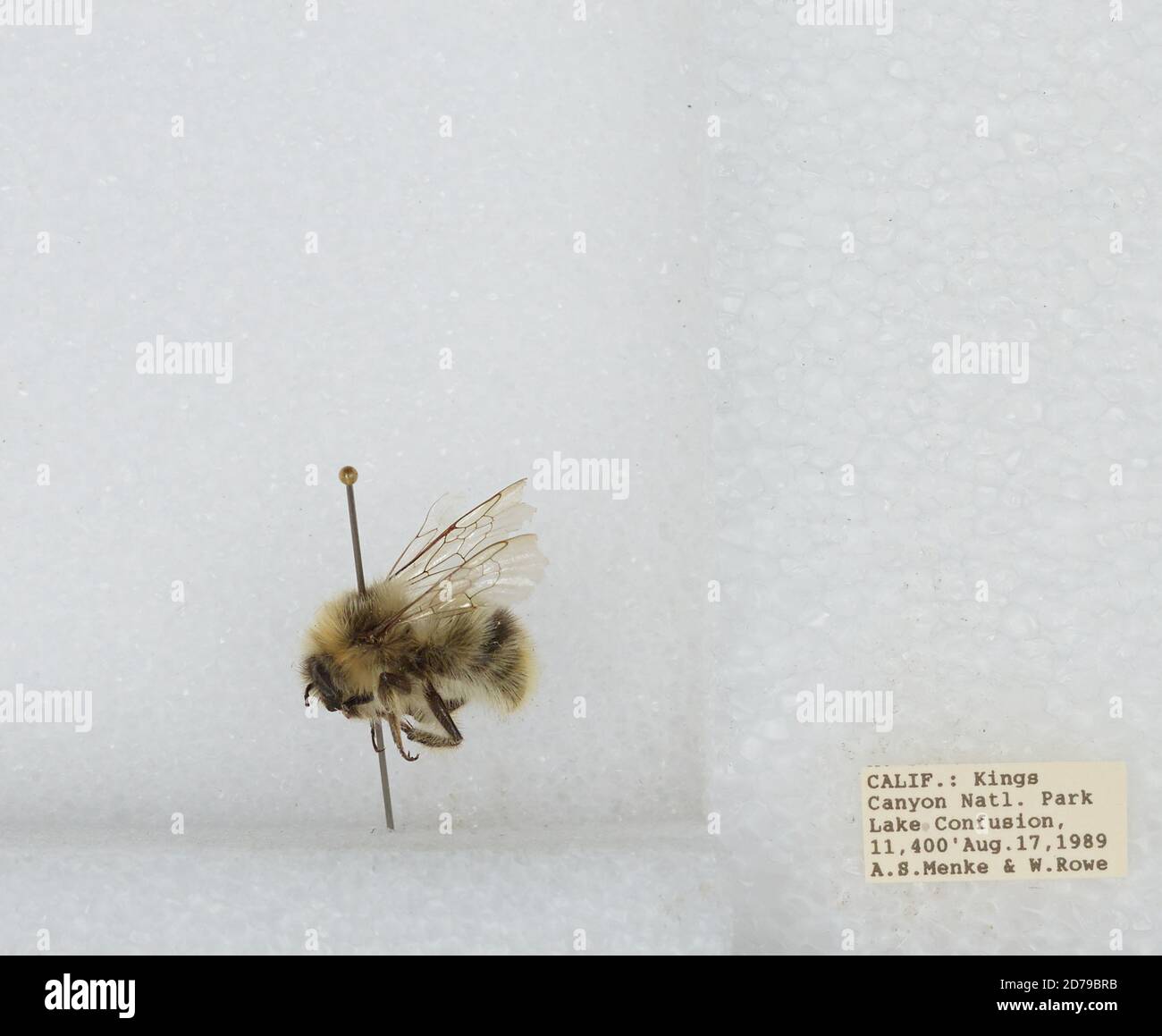 Kings Canyon National Park, Lake Confusion, Fresno, United States ...