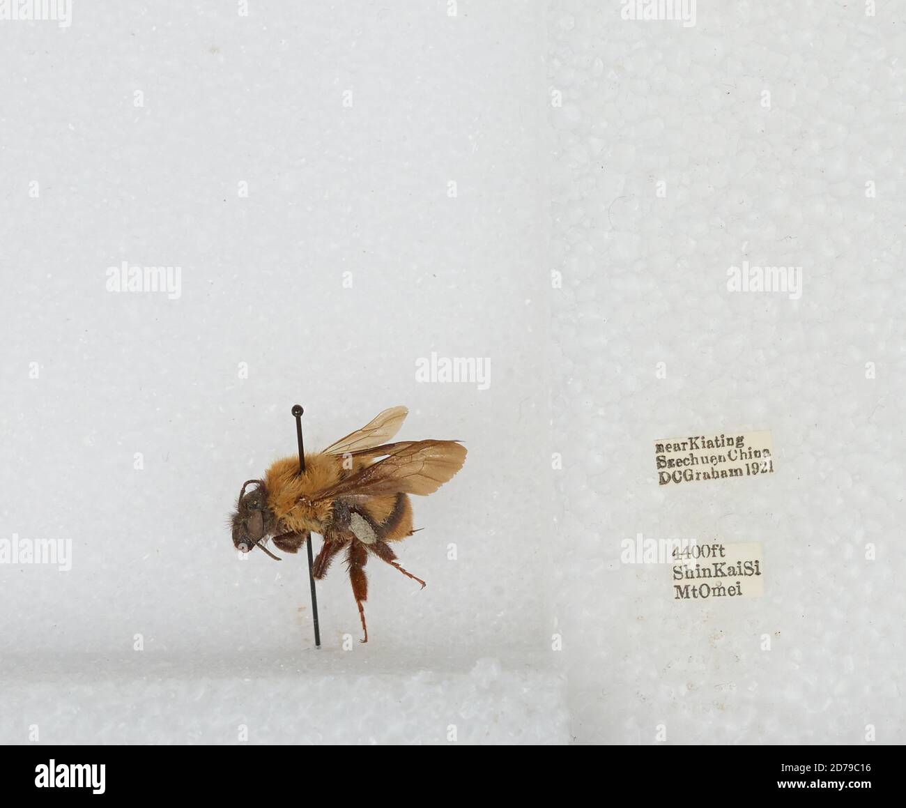 Near kiating hi-res stock photography and images - Alamy