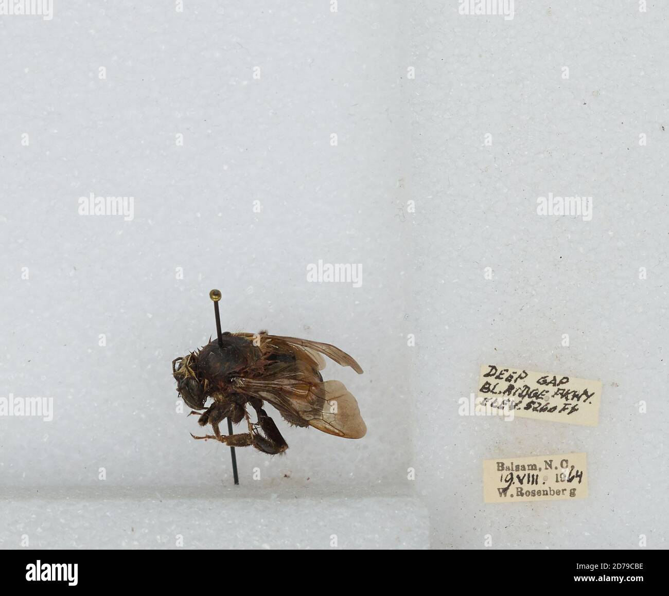 Deep Gap, Blue Ridge Parkway, Balsam, Jackson, North Carolina, United ...