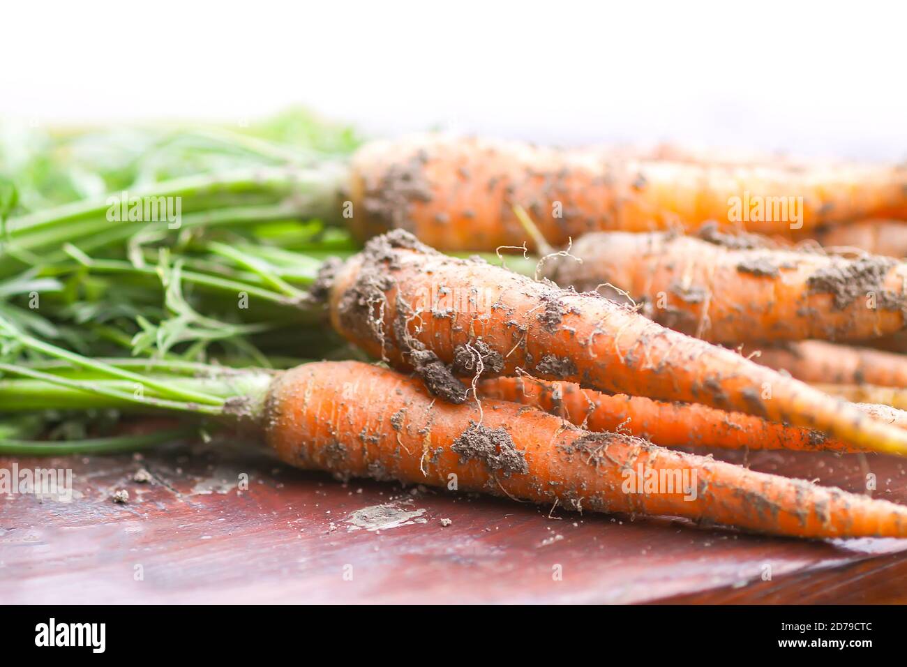 Unwashed vegetables. A bunch of fresh carrots outdoors Stock Photo - Alamy